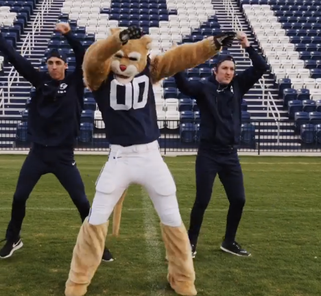Cosmo the Cougar shows off insane dance moves yet again | News, Sports ...